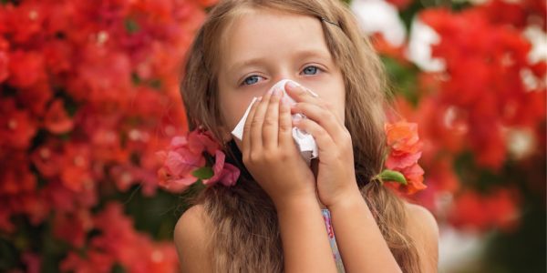 Allergies – Devon Allergy Clinic